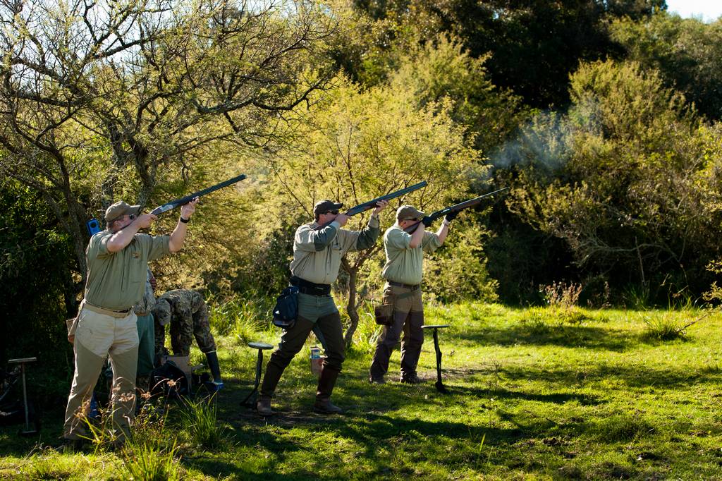 Dove hunting | High volume dove hunting in Argentina