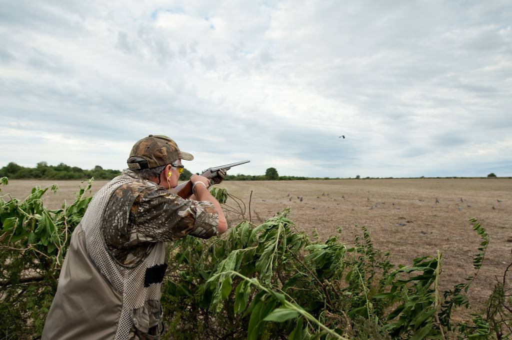 Pigeon hunting | Hunt pigeon in Argentina
